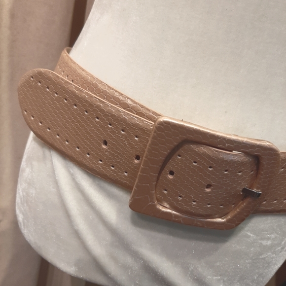Talbots | Accessories | Talbots Snake Belt | Poshmark